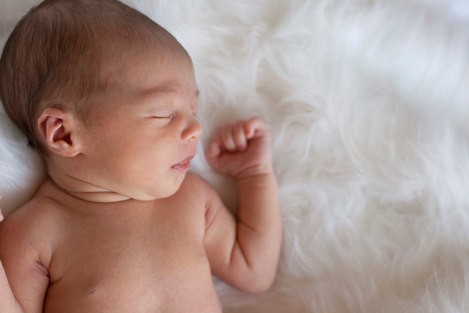 Jen Larsen Photography: 2016