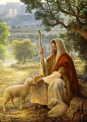 Parable of the Straying Sheep