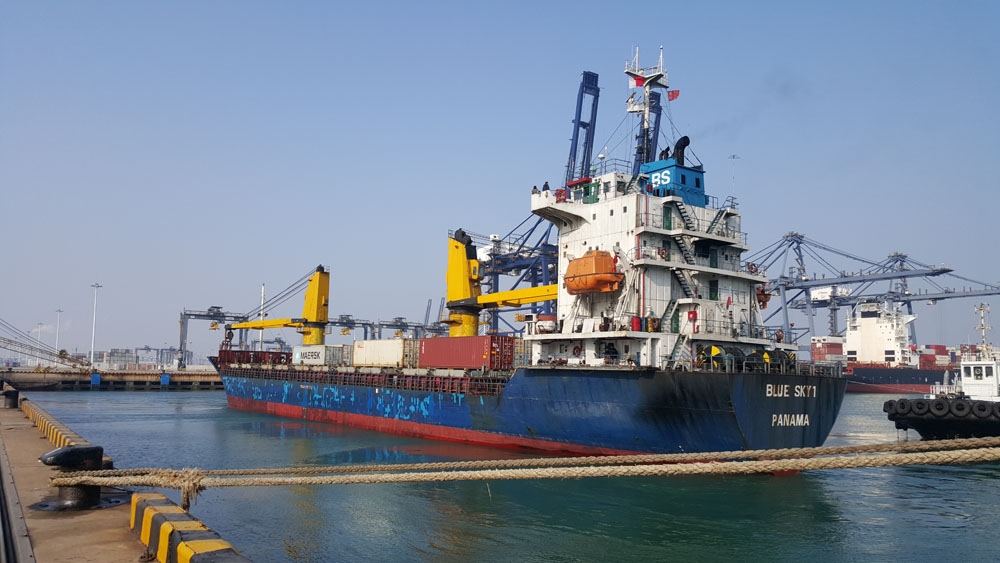 Vessels For Sale: MV Blue Sky 1