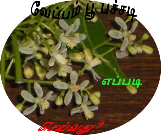 தலைவாழை விருந்து : வேப்பம் பூ பச்சடி