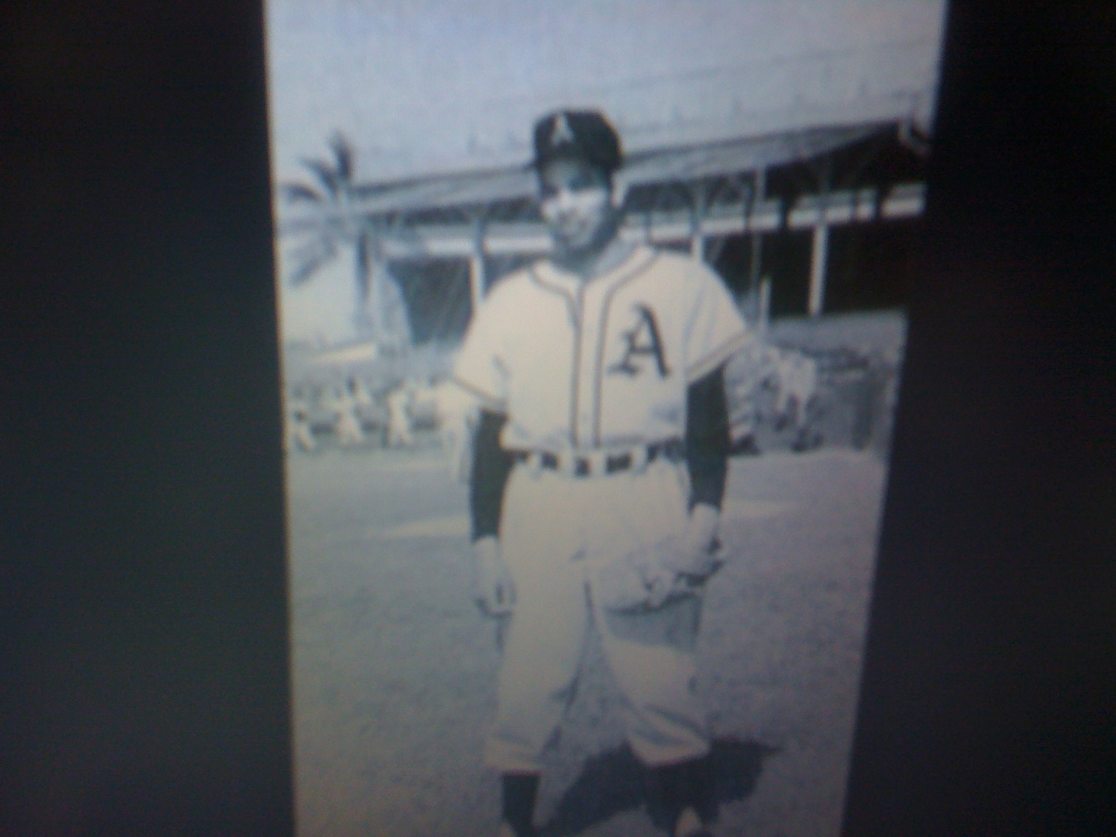 THE BLACK SOCIAL HISTORY:: BLACK SOCIAL HISTORY : AFRICAN AMERICAN A ...