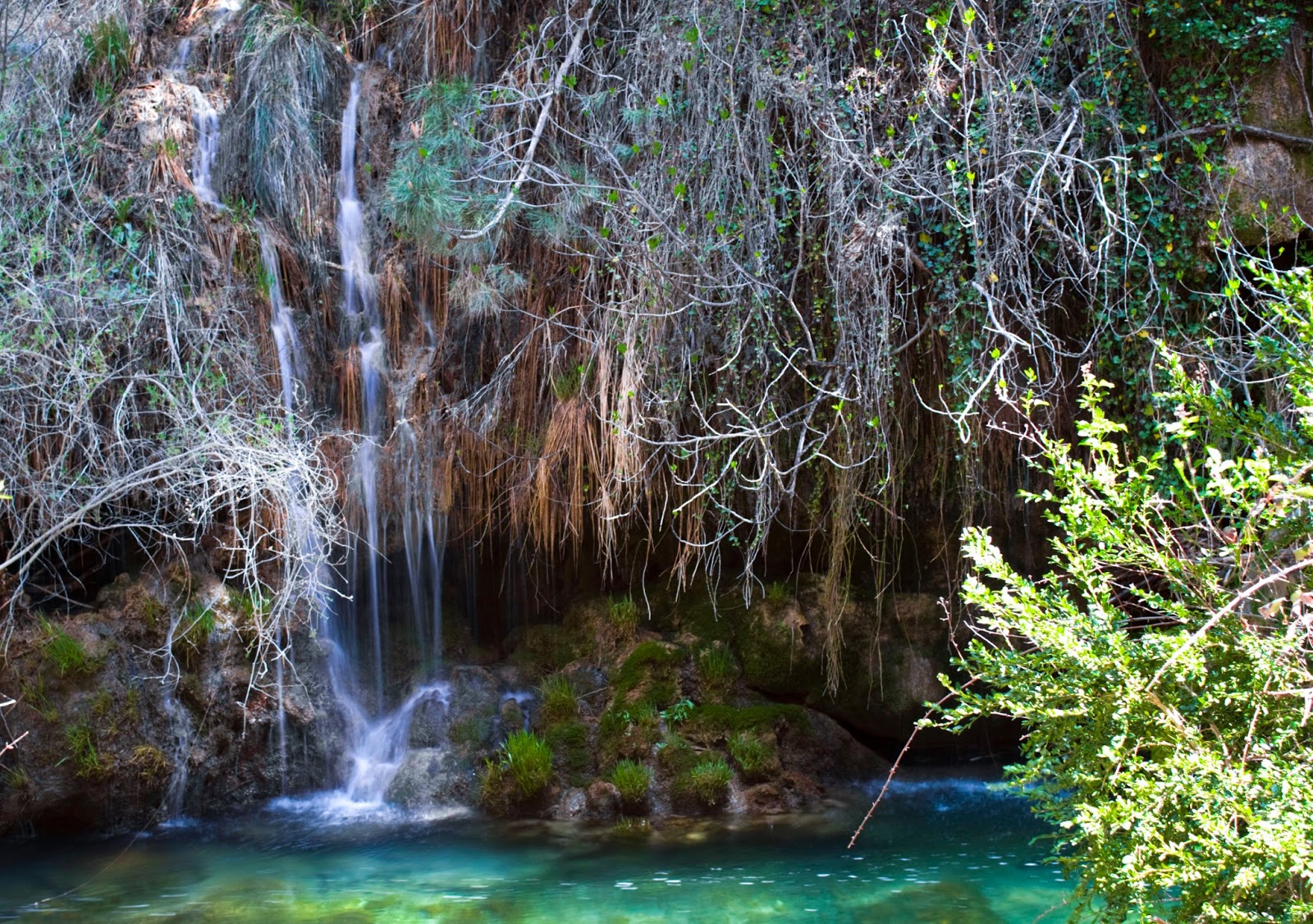 mirando a través de un cristal: SIERRA DE CAZORLA