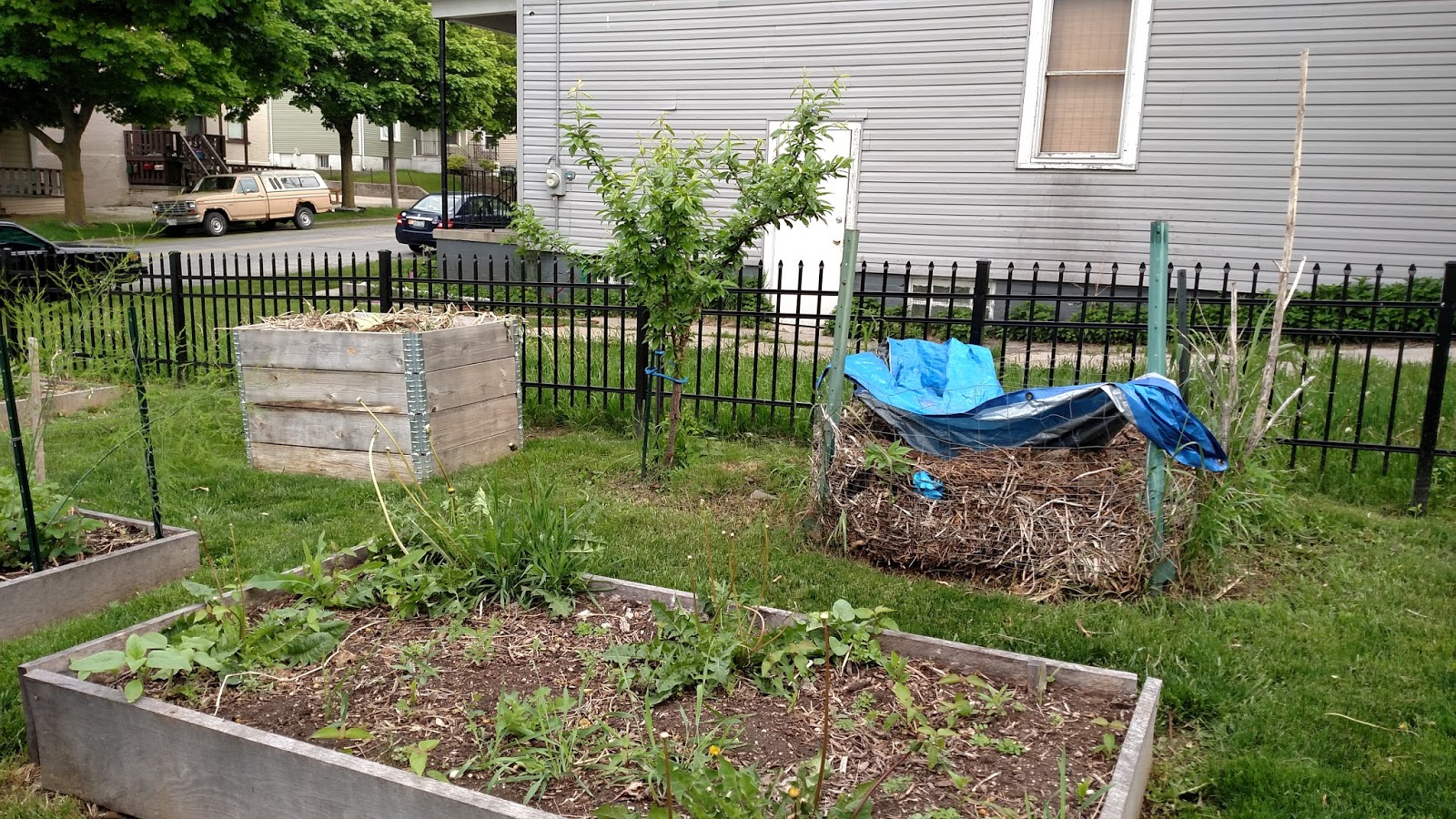 Community Backyard: Why to get or use a Community Garden or a Patio Garden?