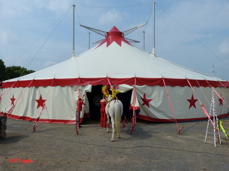 Norberts Internationale Circuswelt: Doppelcircus Mulan - Americano ...
