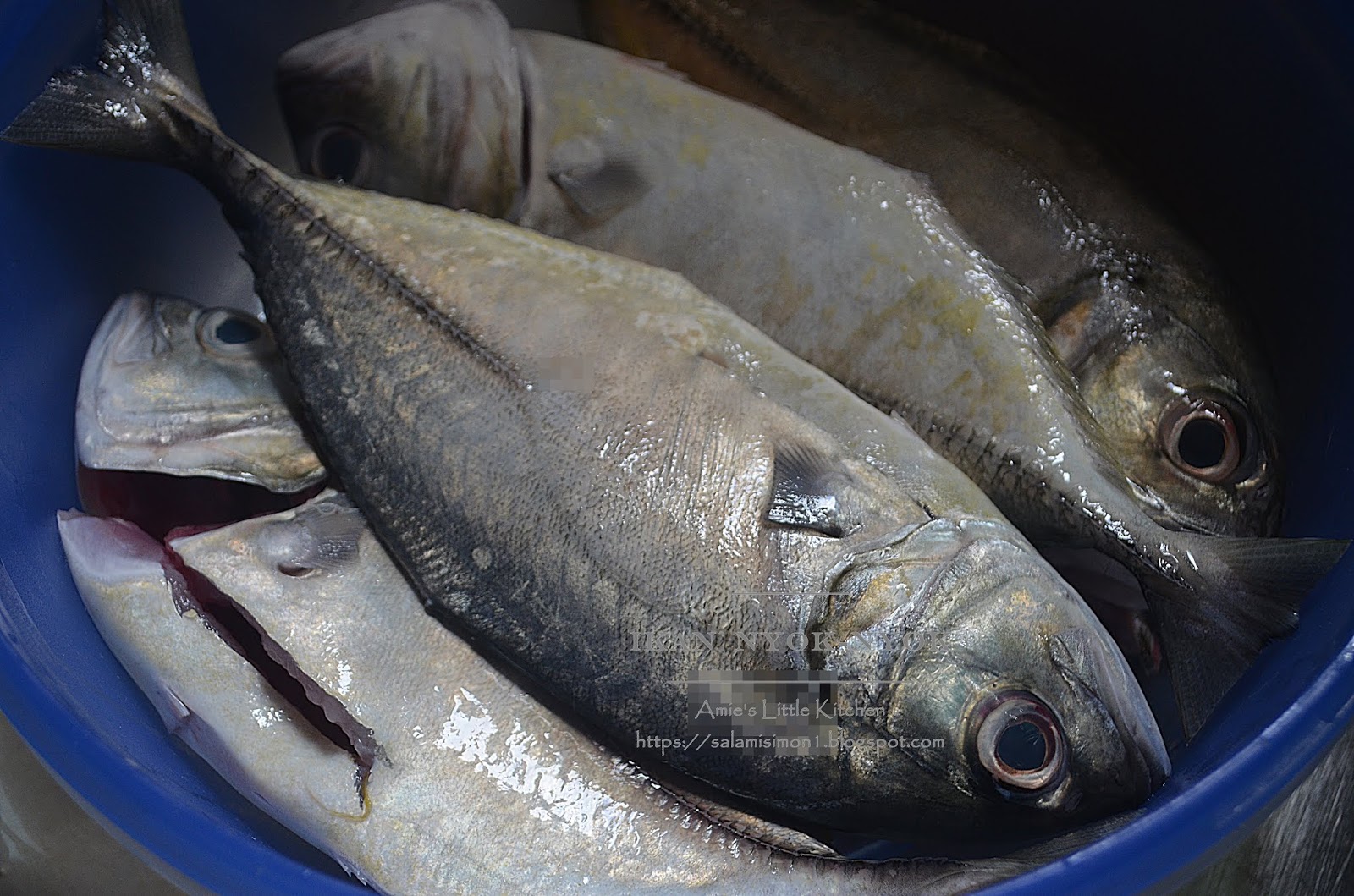 Ikan Nyok-Nyok Panggang, Sambal Air Asam Budu & Sayur Bening - Amie's ...