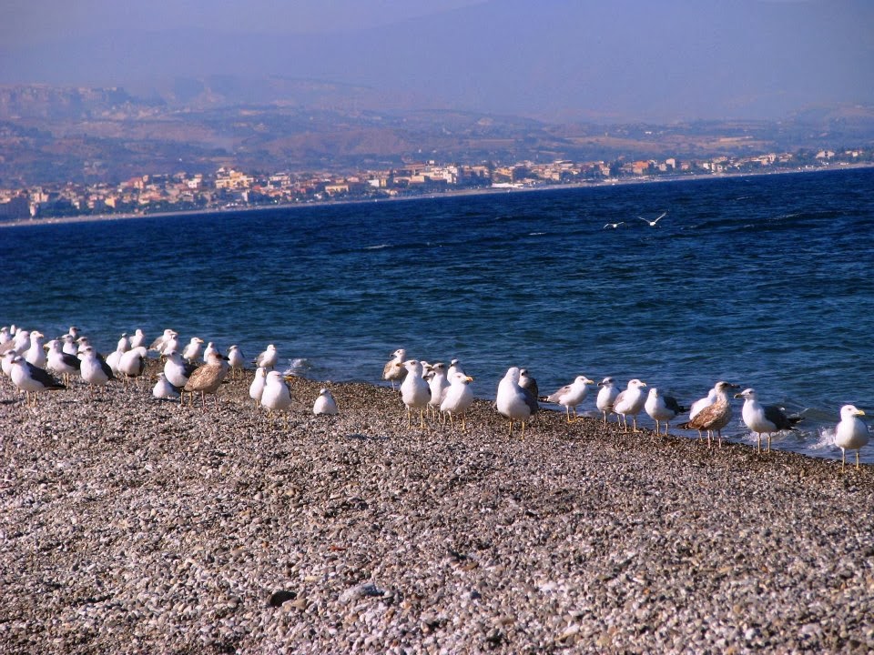 Il mestiere del dare | Cecilia Martino: “FARE ANIMA”: IL MARE DI BIANCO