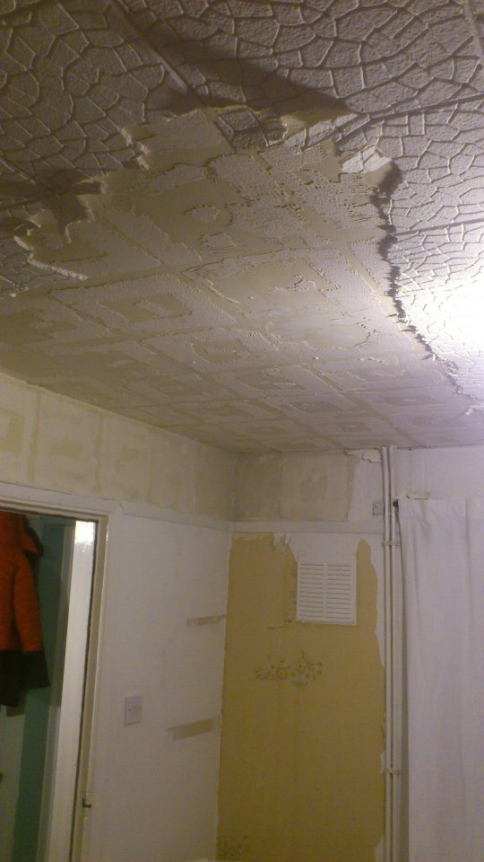 Emma Stolp - Life begins at 40: Product review - Polycell Crack Free ...