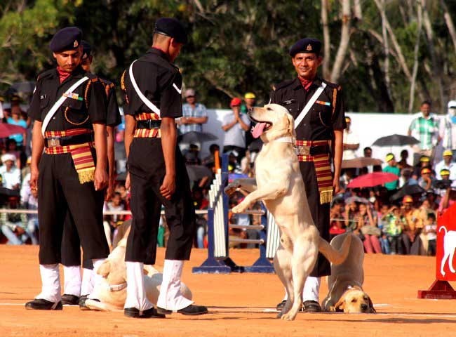 Indian Army Dogs Performance in Republic Day