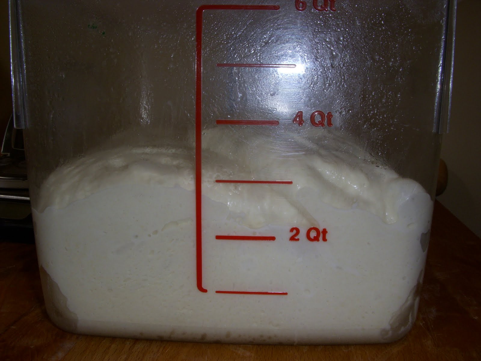 The Baritone Bread Log: Bread Log 2: Ciabatta with Stiff Biga