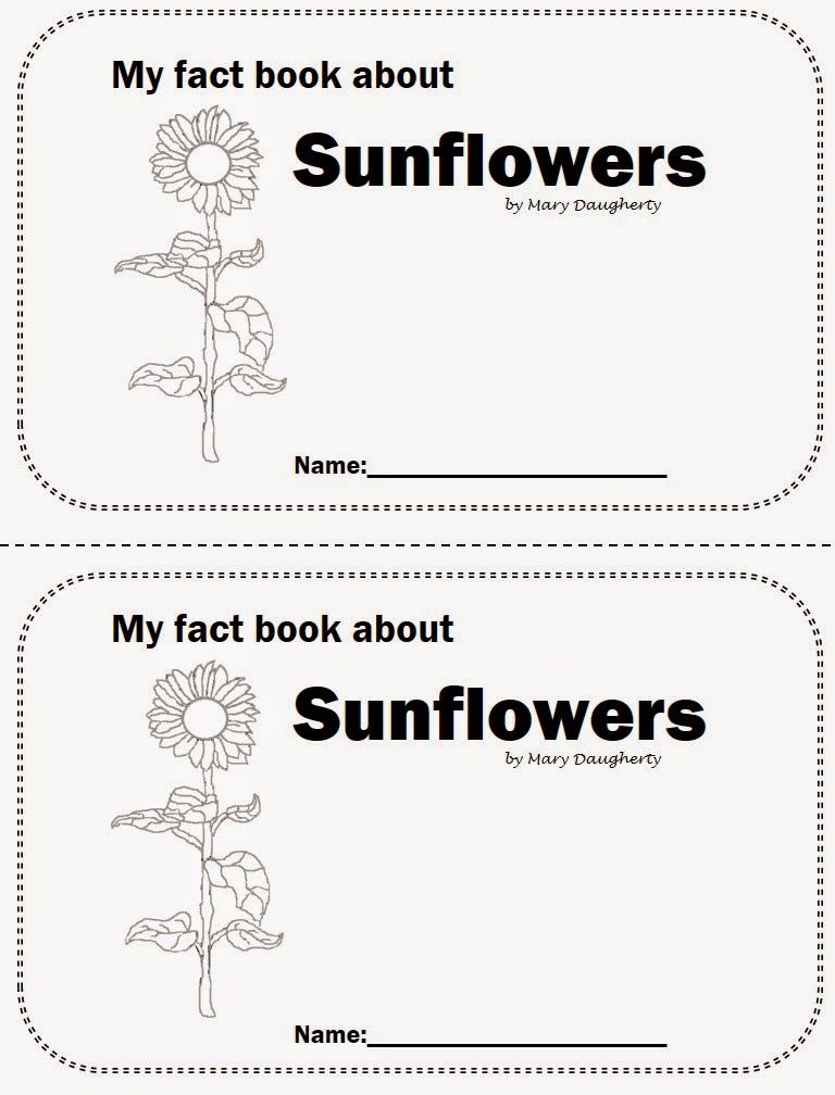M.A.D. about first grade: Sunflowers and more