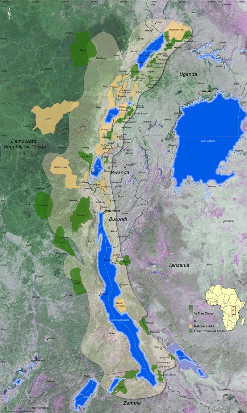 DownWithTyranny!: Why should you care about the Albertine Rift? The ...
