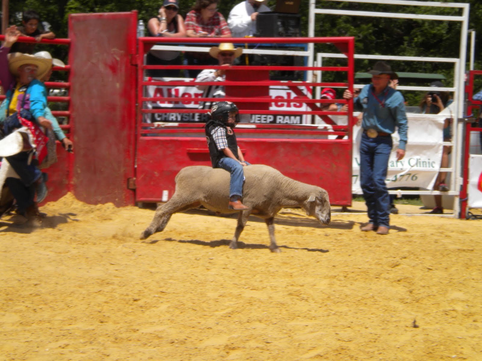 Thoughts from Meme's Corner: Mutton Busting Blue Monday