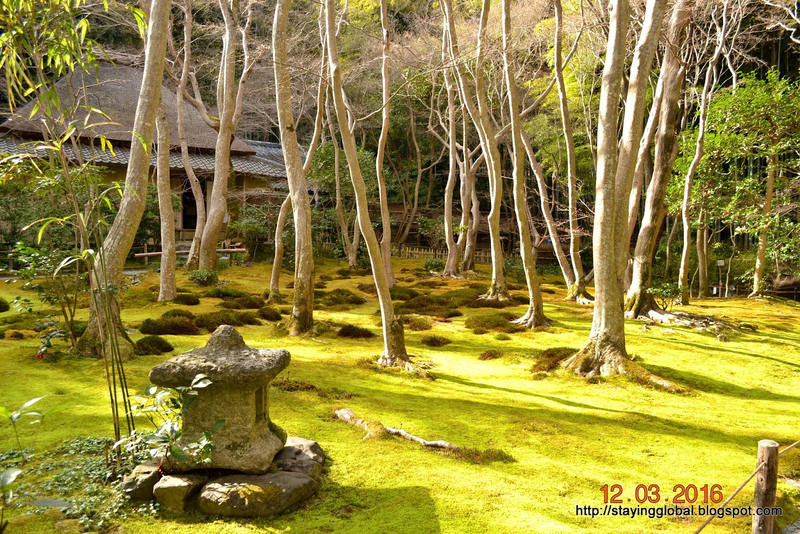 A Global Life: Kyoto - Gioji Temple