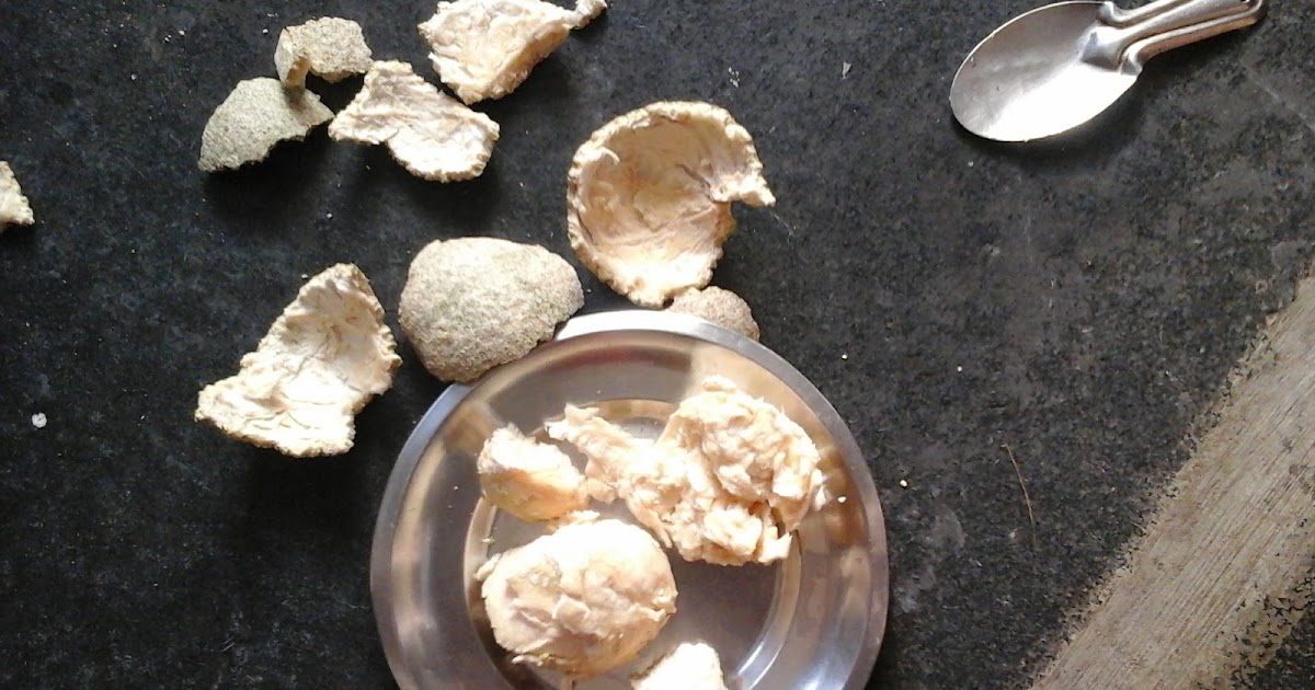 SVL Ayurvedic Healing Herbs: Velaga Pandu ( Wood Apple)