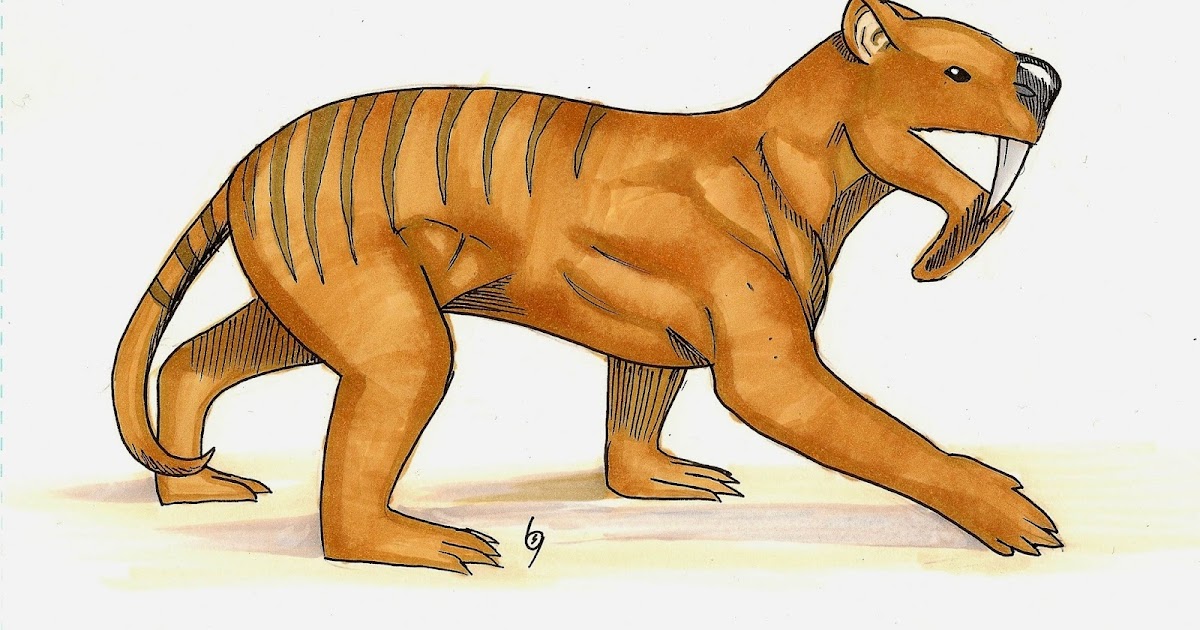 The Natural World: Smilodon Vs. Thylacosmilus: The Saber-Toothed Marsupial