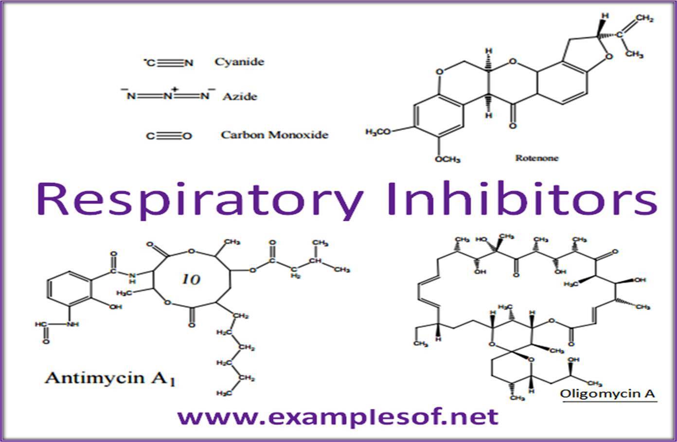 Example of Respiratory inhibitors