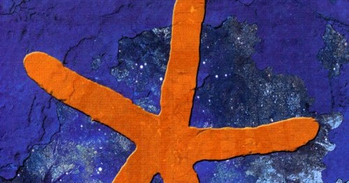 Prog Female Voices: Fish - 13th Star (2007)