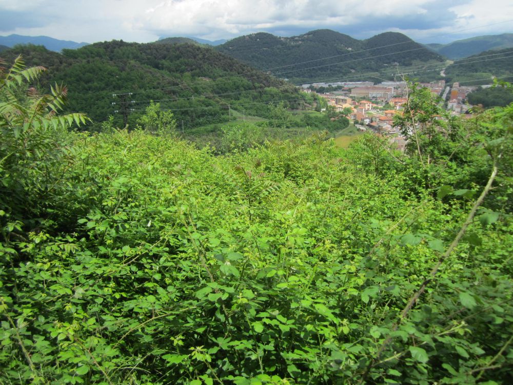 Volcanic Landscapes: Olot Volcanic Field: Montascopa volcano