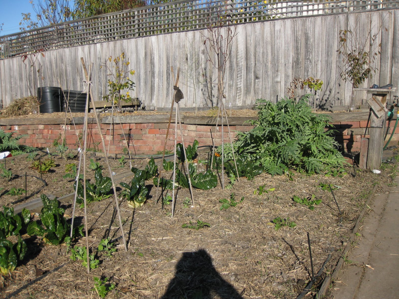 Polystyrene Garden Junkie