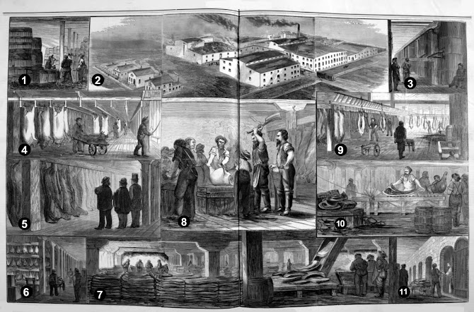 The Digital Research Library of Illinois History Journal™ : The History ...