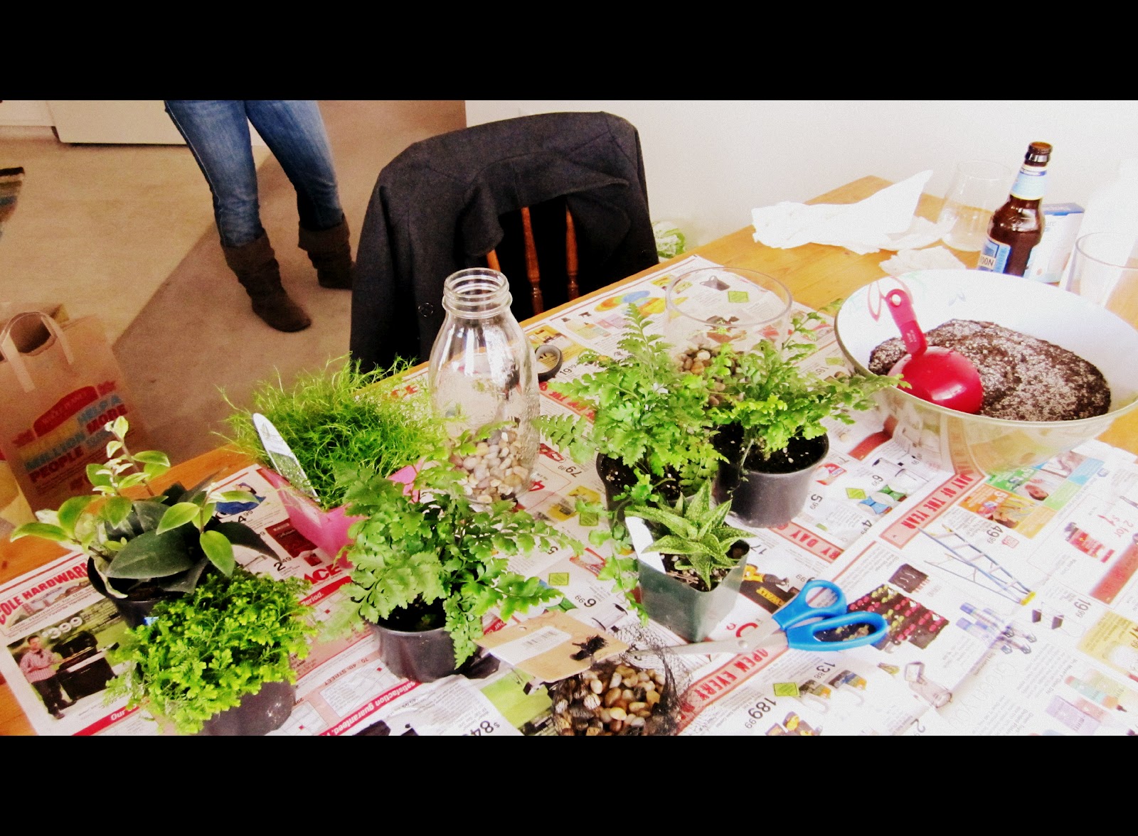 The Fern and Mossery: Terrarium-making Party