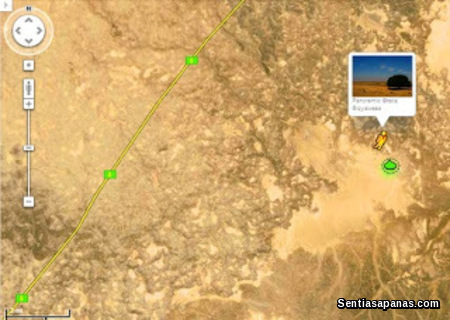 Pohon Nabi Muhammad Yang Masih Hidup Selepas 1400 Tahun! ~ Bikin Panas