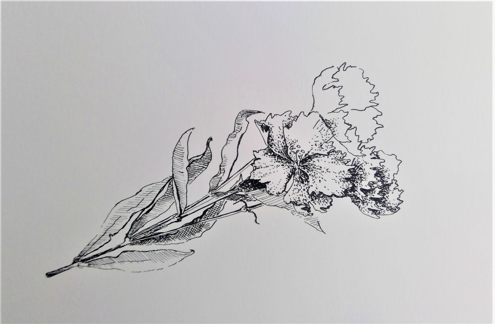 Linda Weil Fine Art: Composite Drawing