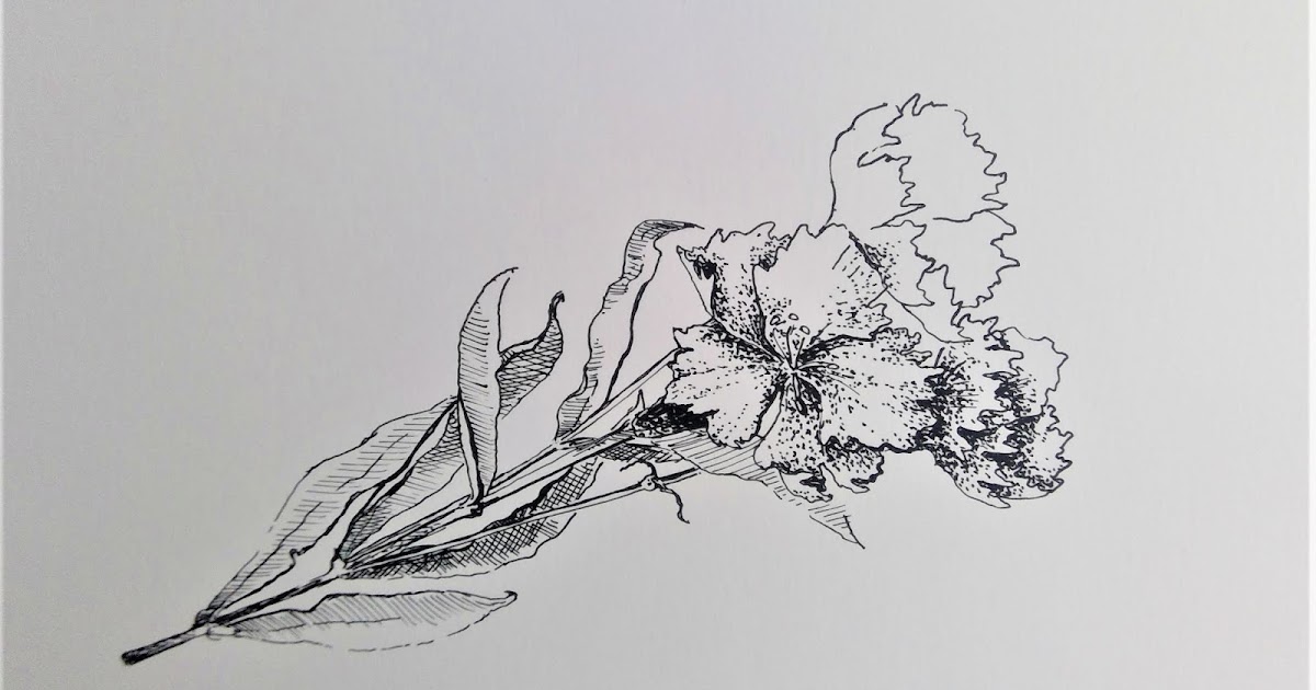 Linda Weil Fine Art: Composite Drawing