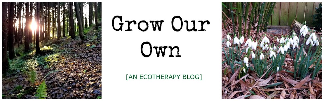 Grow Our Own ~ an ecotherapy blog