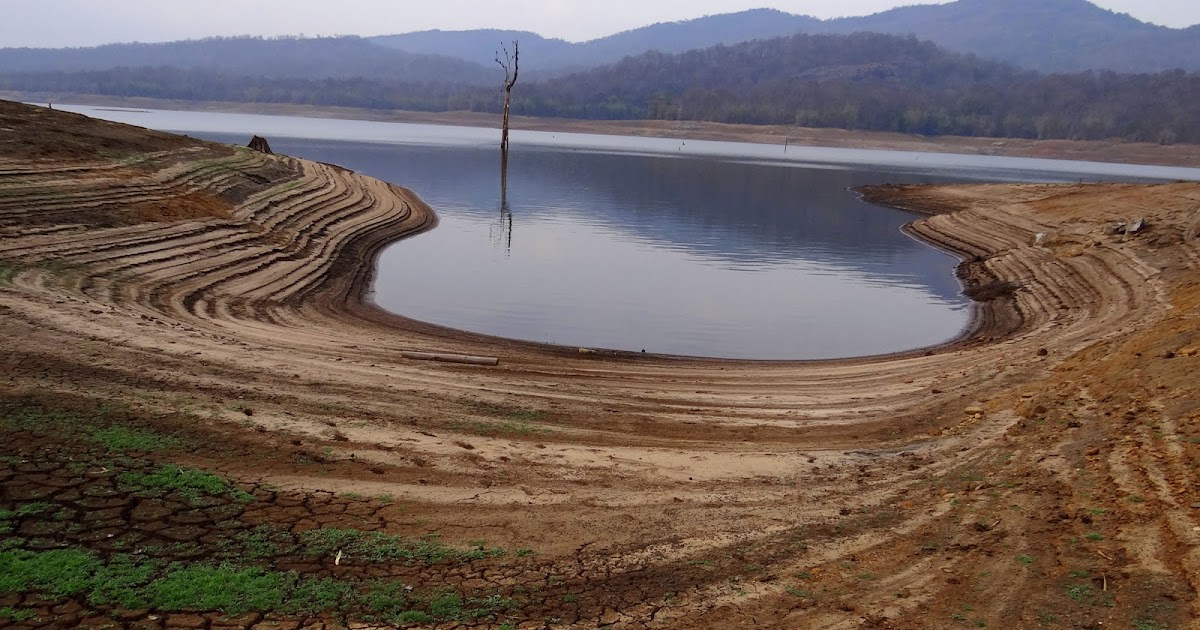 Sarathy the Traveler