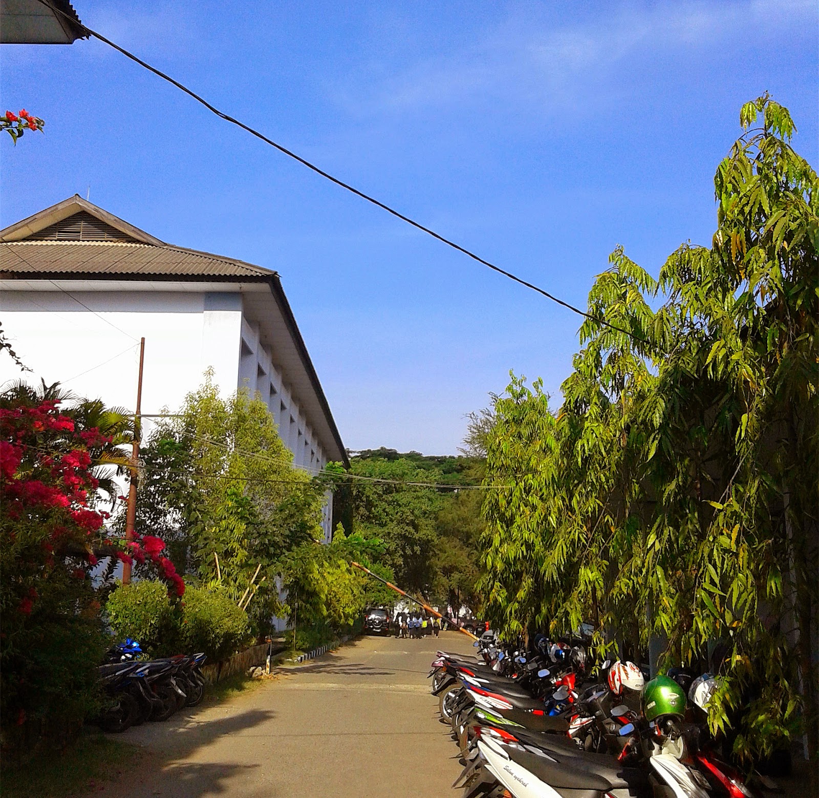 Sekilas Tentang Fakultas MIPA Universitas Negeri Makassar | LABKOMMAT UNM