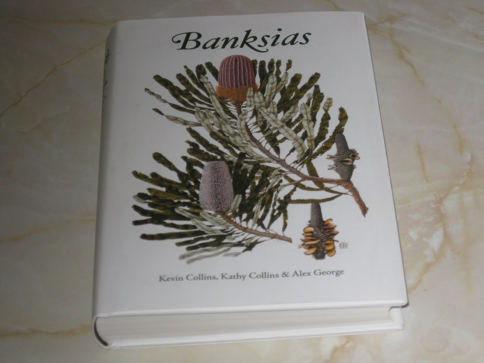 Robin's Double Life: Big Bad Banksia Men: created by May Gibbs