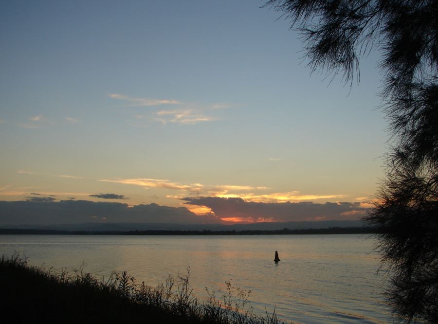 Snap Happy Birding: Shingle Splitters Point: late afternoon photo shoot