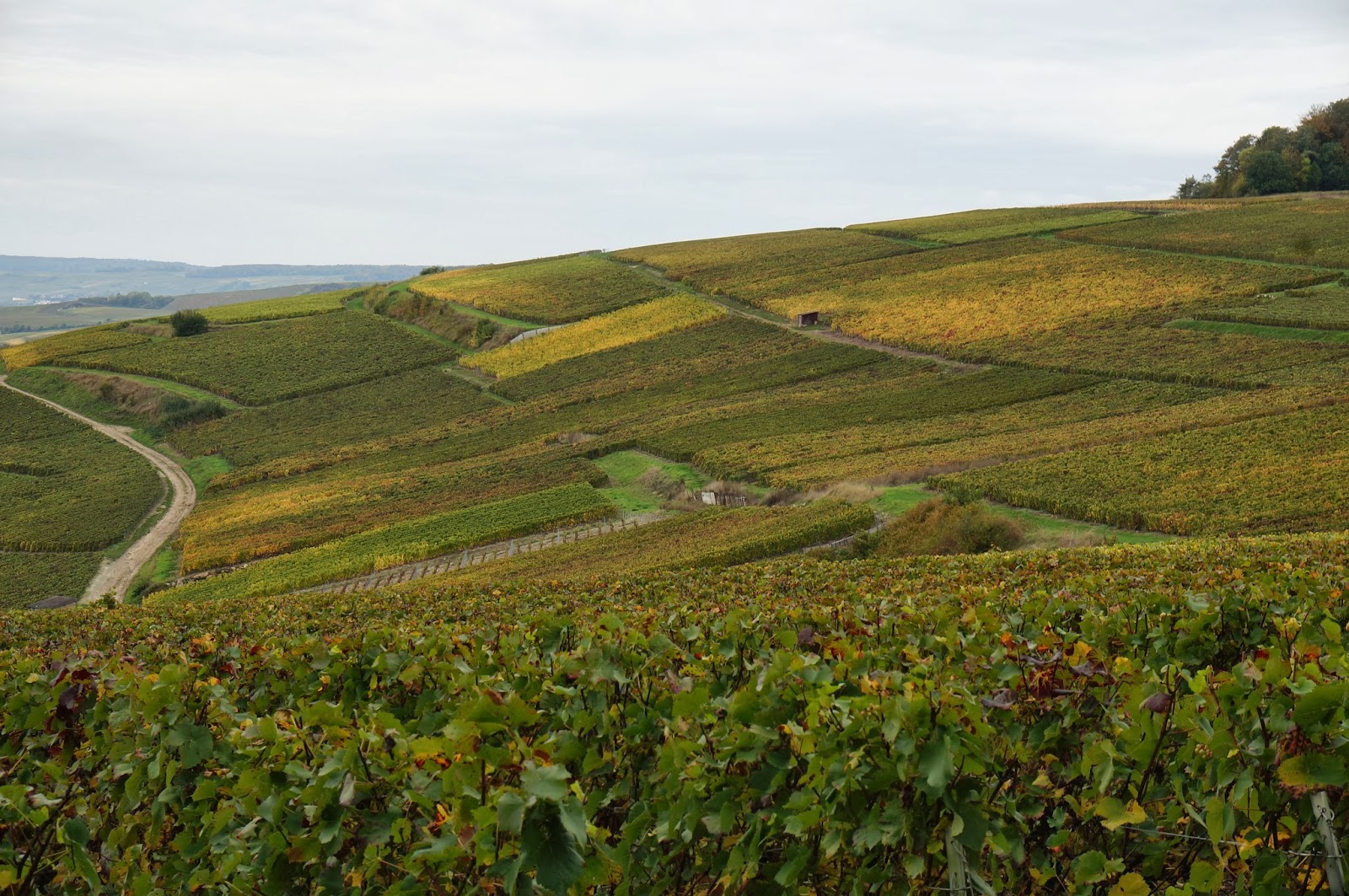 Jim & Happy : Dormans, the Champagne area of France