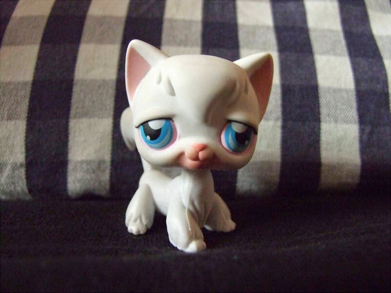 Centrum Littlest Pet Shop: 183. Top 15 ulubionych LPS