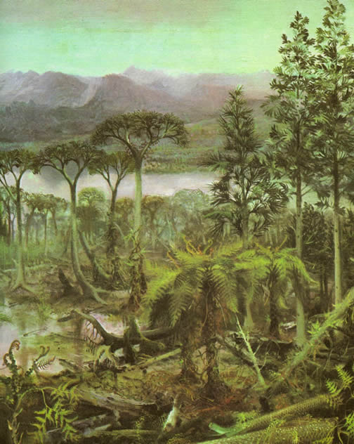 Plant Life: Paleoecology