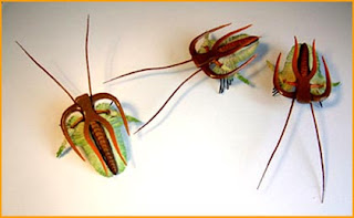 Life Before the Dinosaurs: Marrella.