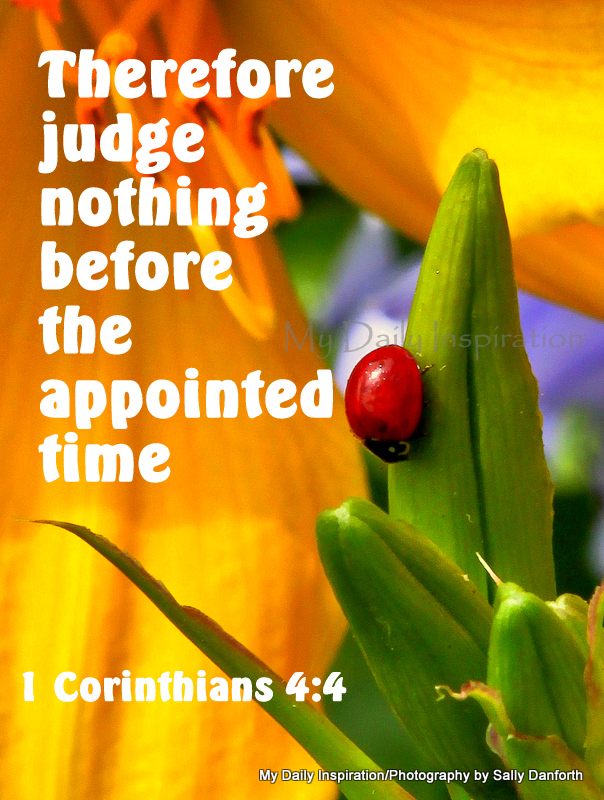 Therefore judge nothing before the appointed time