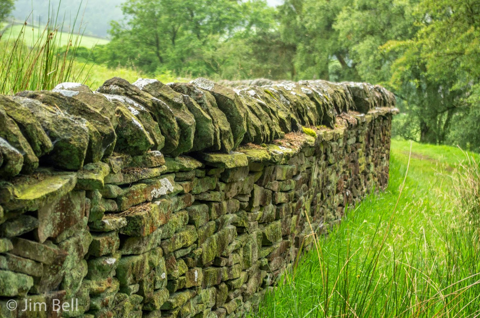 Out & About: Wildboarclough & Shutlingsloe