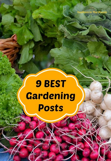 All my BEST gardening tips and tricks! - Feathers in the woods