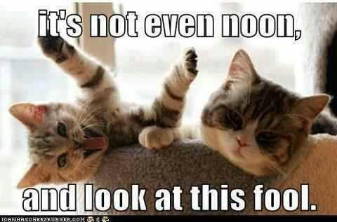 Unbreakable's Musings: It's not even noon...