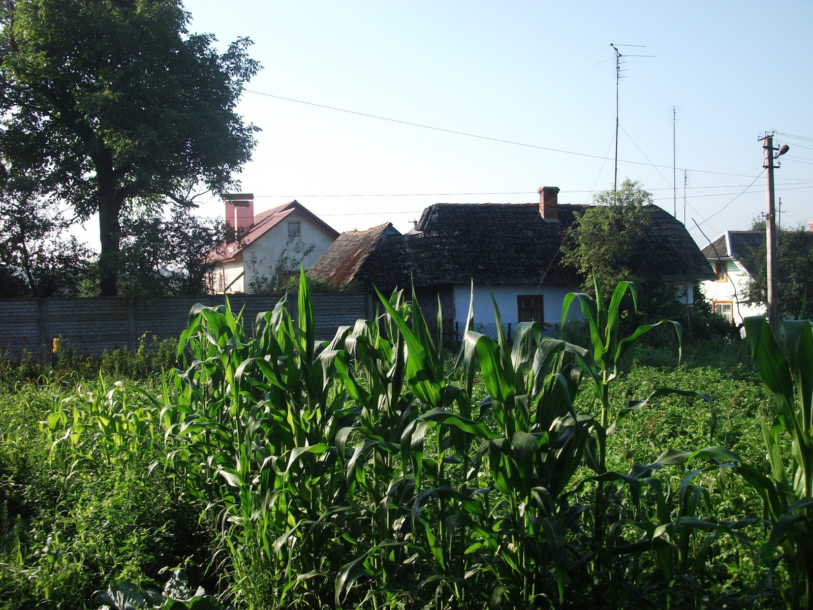 MY Pichka: What Ukrainian villages are and what we want them to be