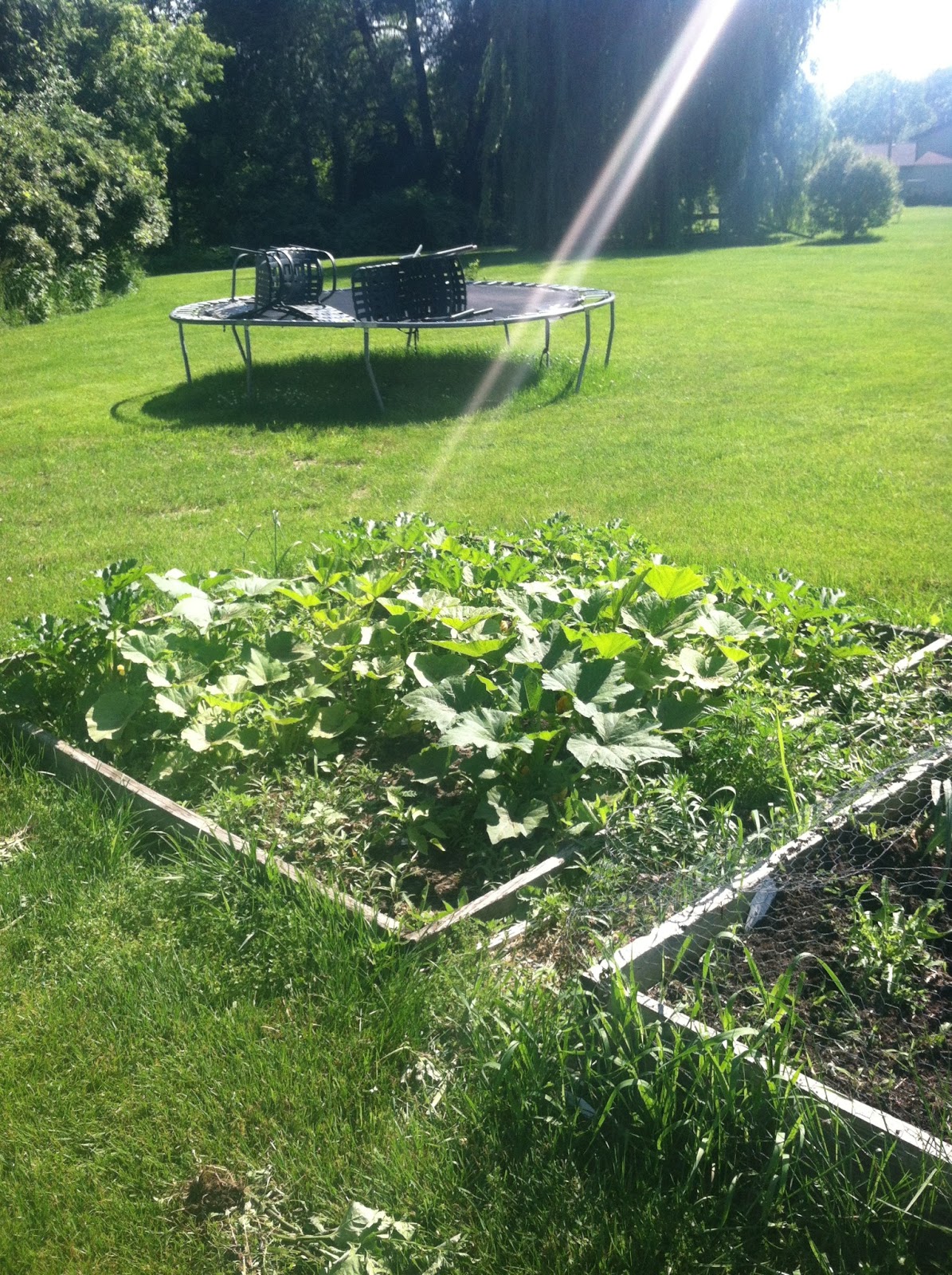 Beth Sexton Realtor in Southwestern Michigan