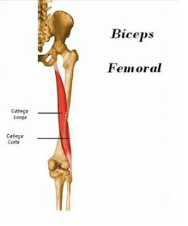 Diario de una fisioterapeuta: Lesión del bíceps femoral