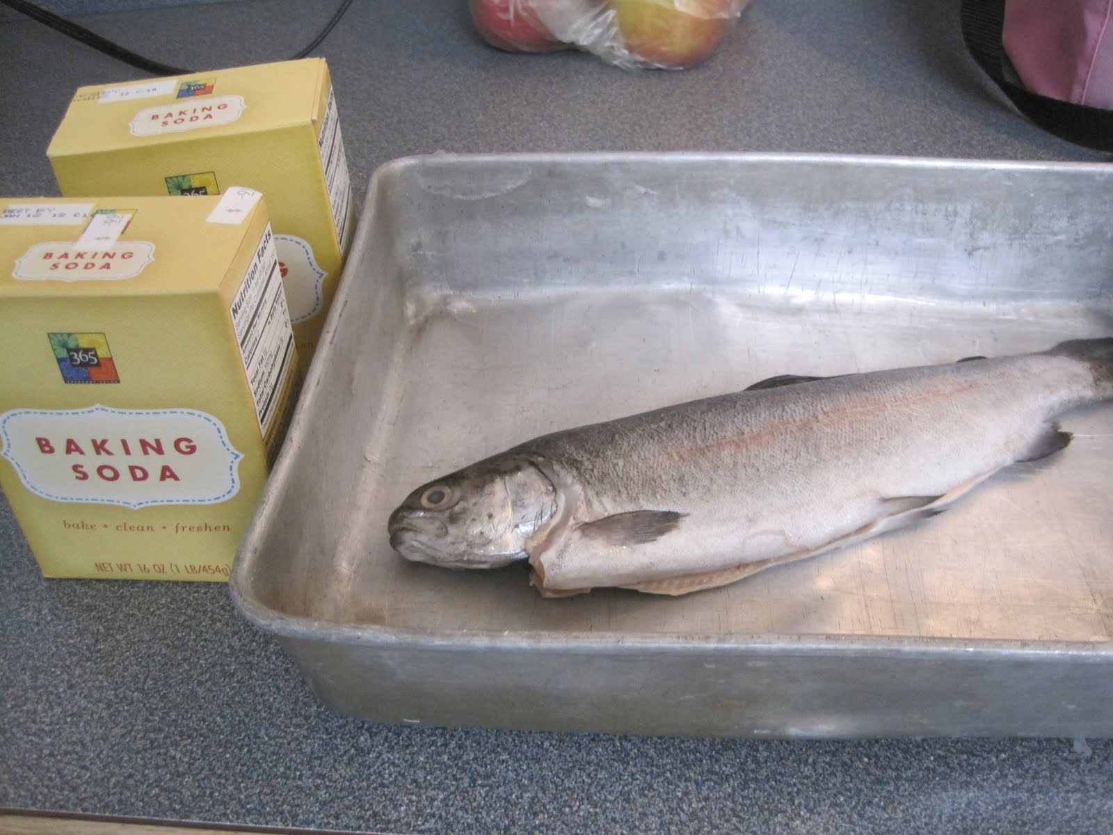 Susan Carpenter's 1st and 2nd Grade Classroom : The Mummification of a Fish