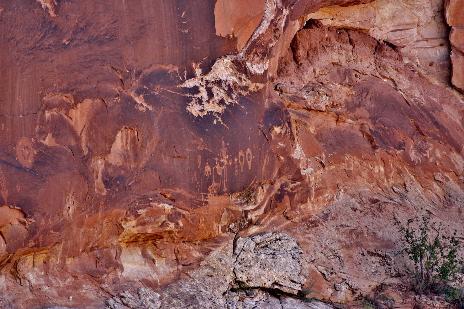 The Southwest Through Wide Brown Eyes: Wolfman Panel and Ruins - Comb ...