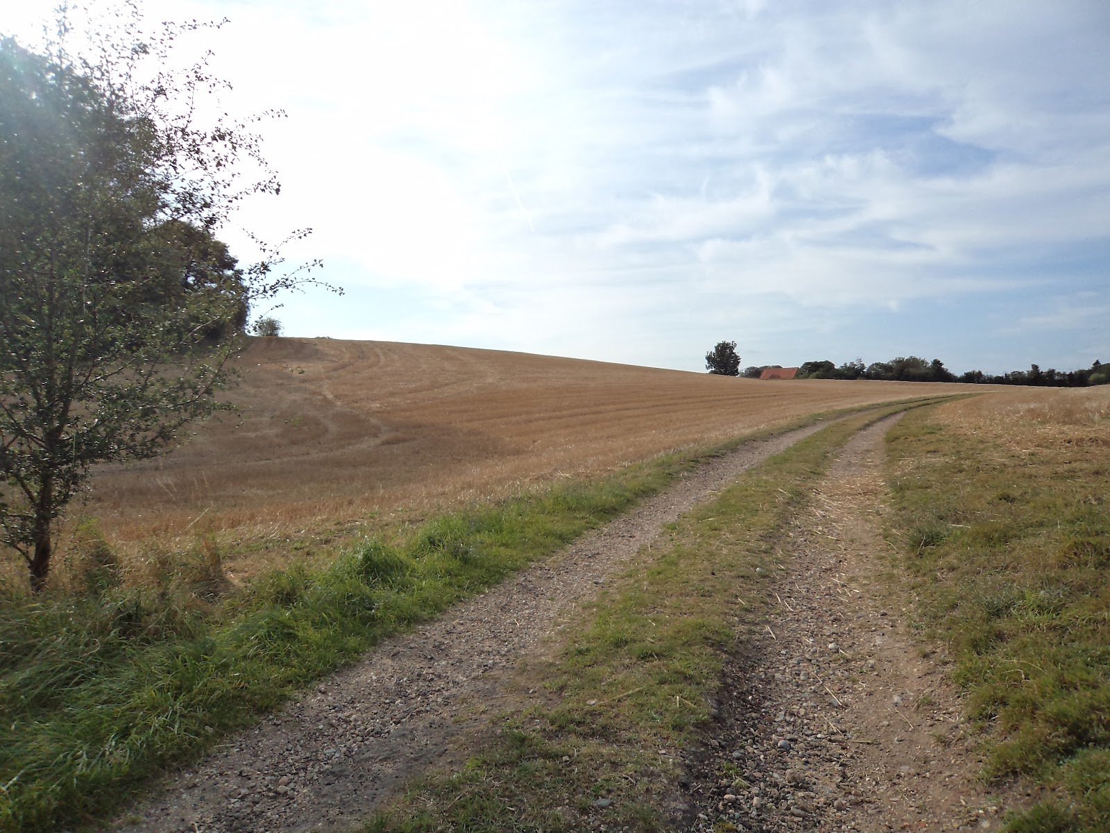 Texture Trail: English Countryside