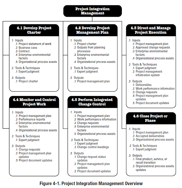 Project Management : Integration Management : Processes