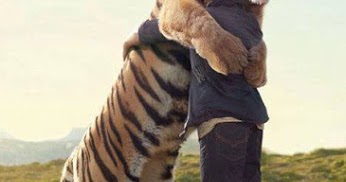 Cool stuff you can use.: See What A Tiger Hug Looks Like