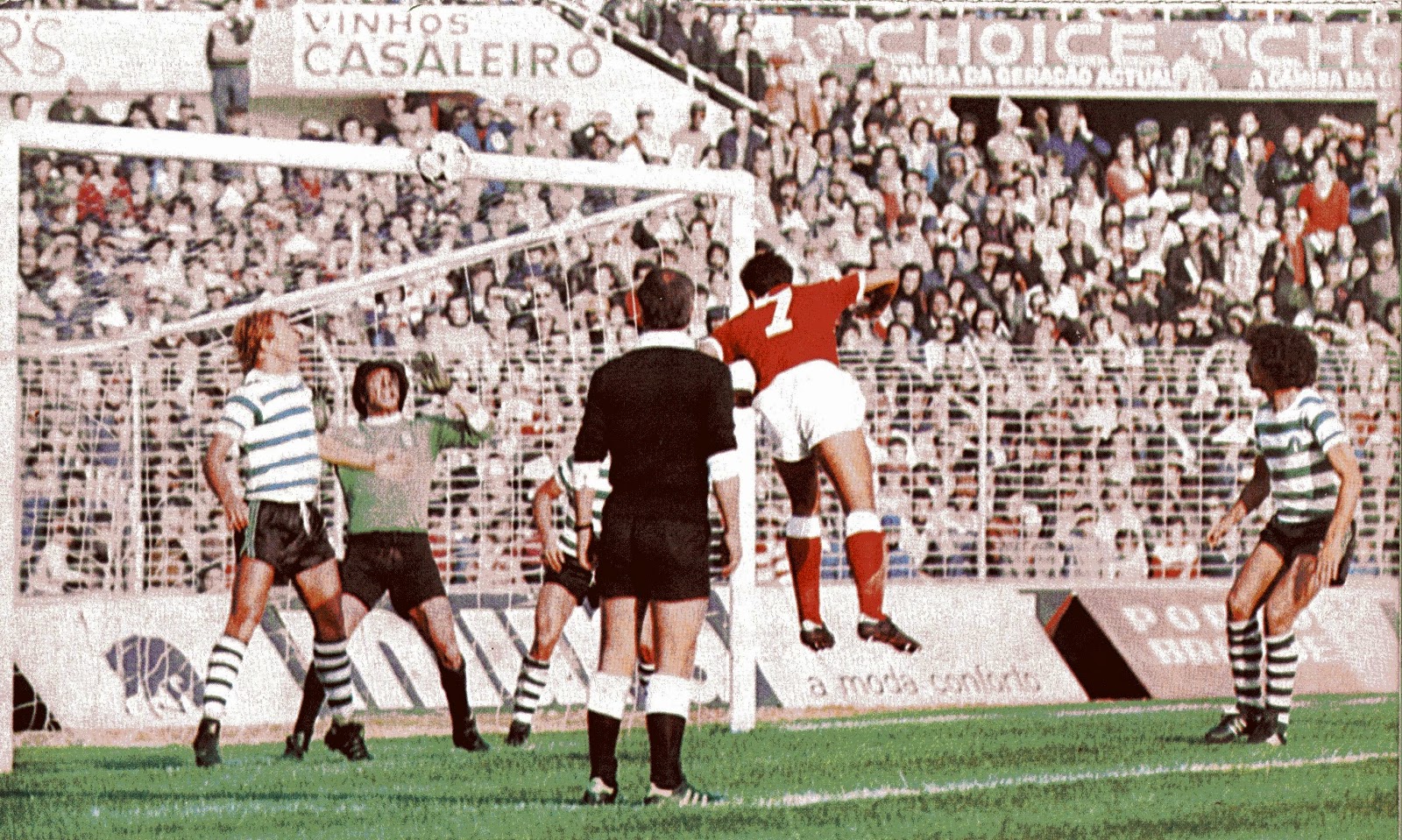 Sou Benfica: Fotogaleria SLB